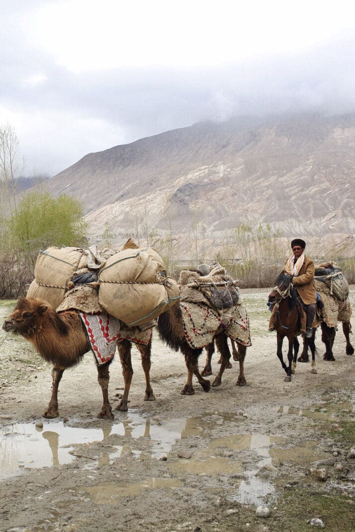The Silk Road - A Living History